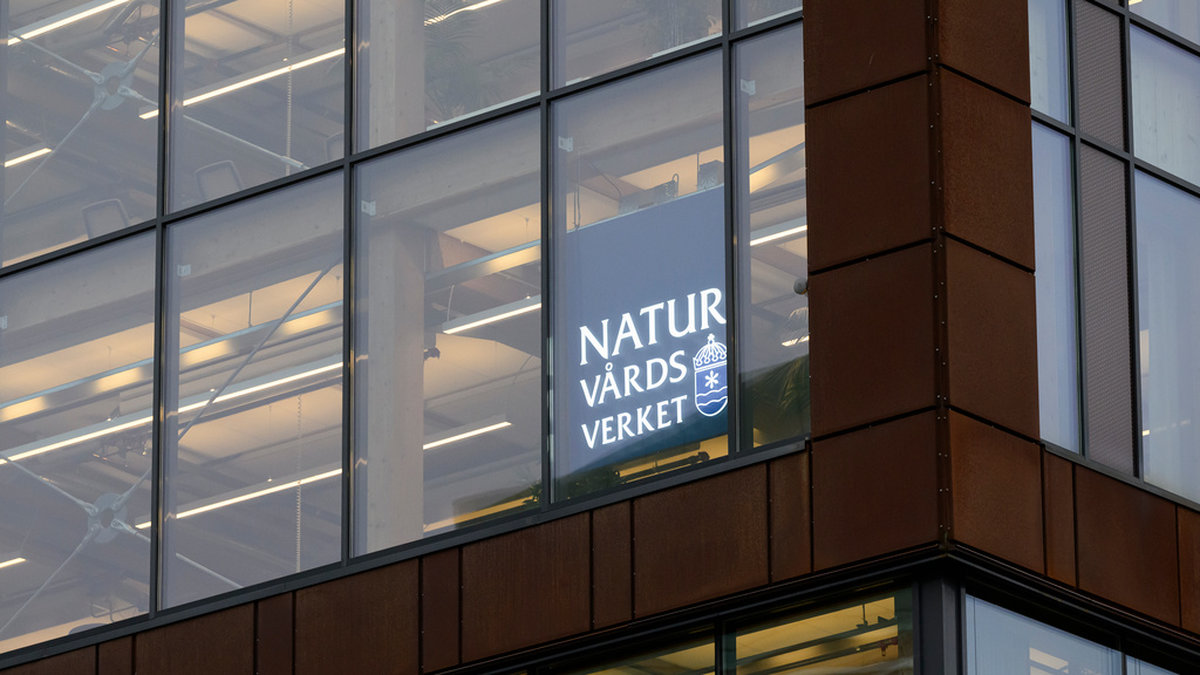 Tåg och förbud – så vill svenskarna kapa utsläpp