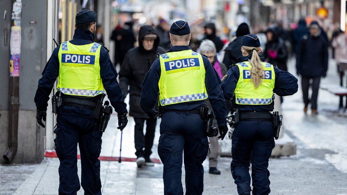 Svensk polis kan börja patrullera i Norge