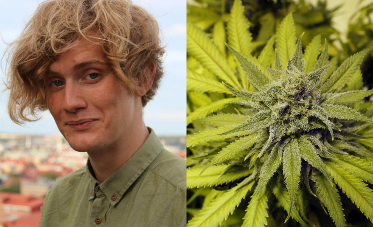 "Myndigheter måste sluta låtsas som att cannabis och spice är samma sak"