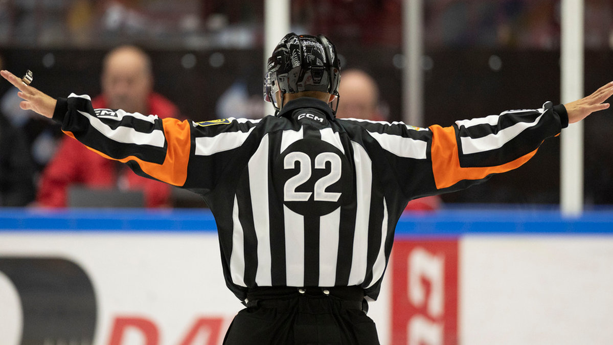 Crosscheckade domaren – stängs av och bötfälls