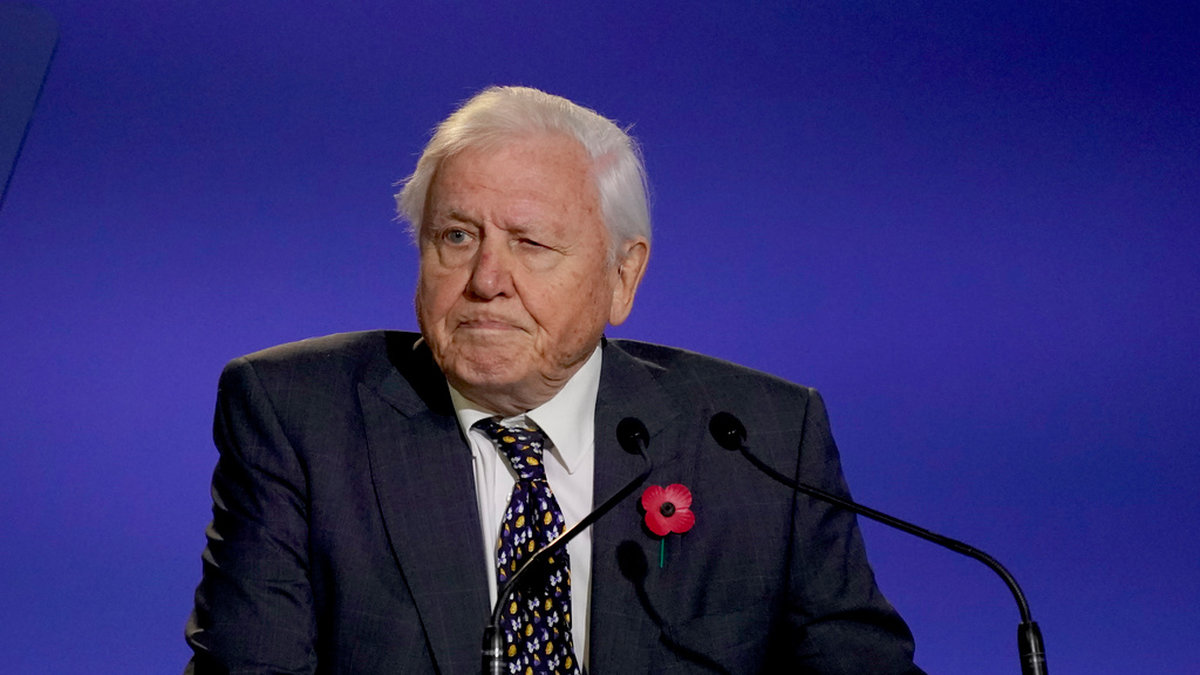 David Attenborough ska pigga upp britter