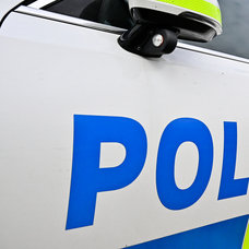 Toppslätskivling växer i Sverige – här är straffet om du plockar den