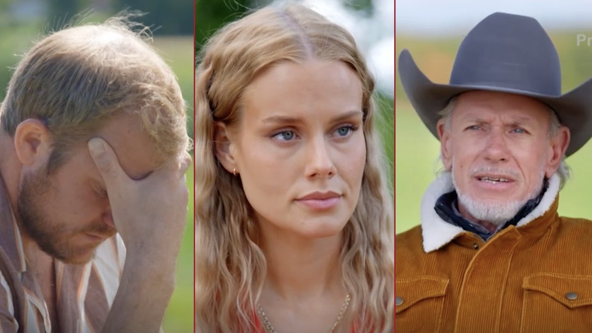 Så gick det för bönderna i Bonde söker fru 2024