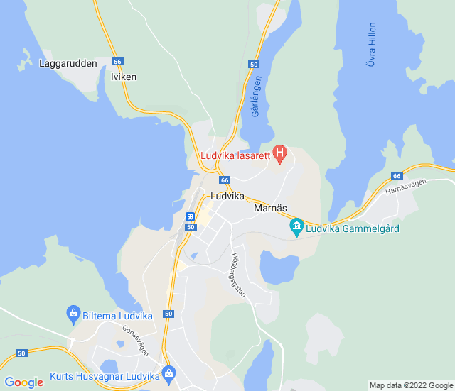 Polisen rapporterar om bråk, Ludvika