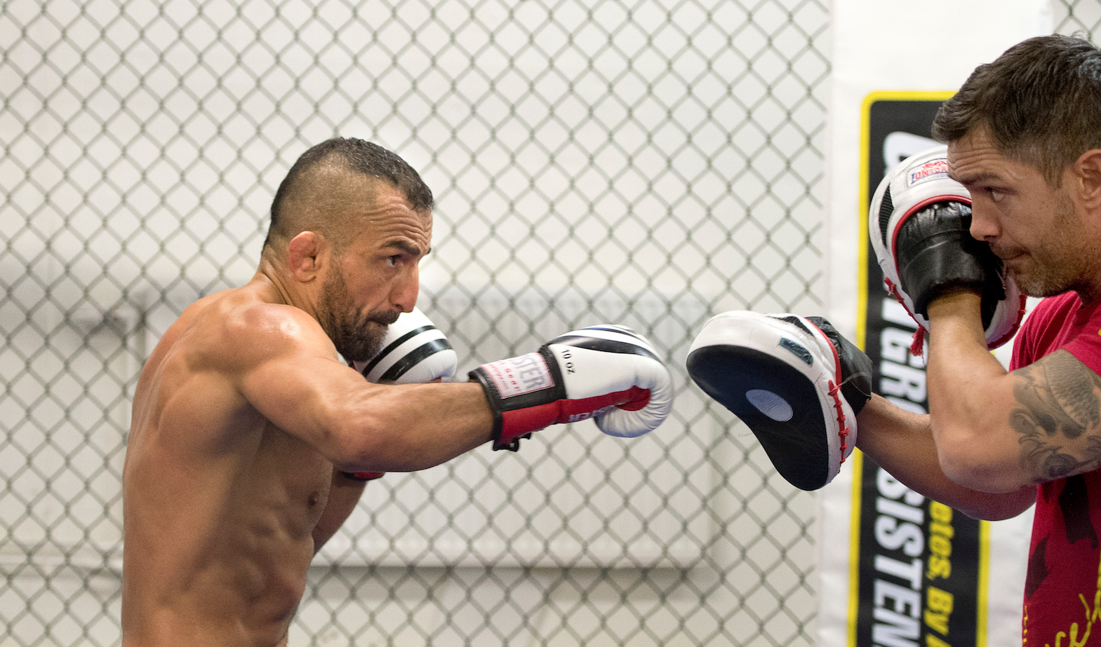 MMA-fighterns fina insats – efter attacken i Stockholm