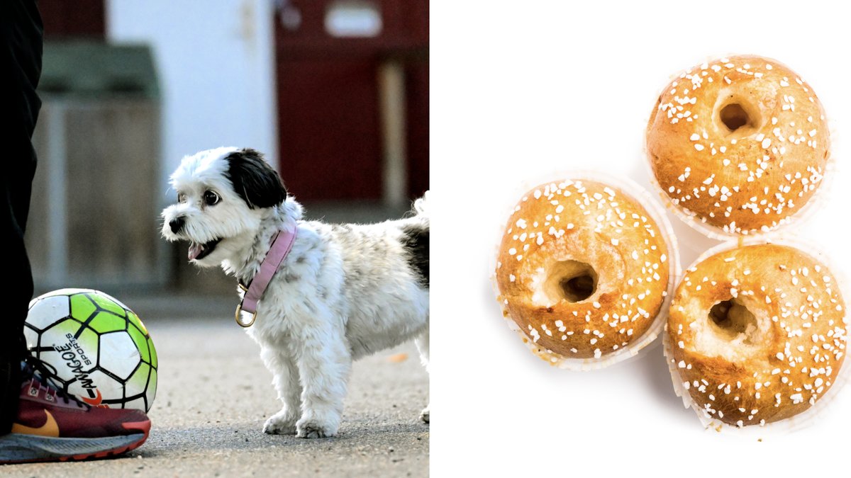 Bullar med metall och glas hittade på flera platser