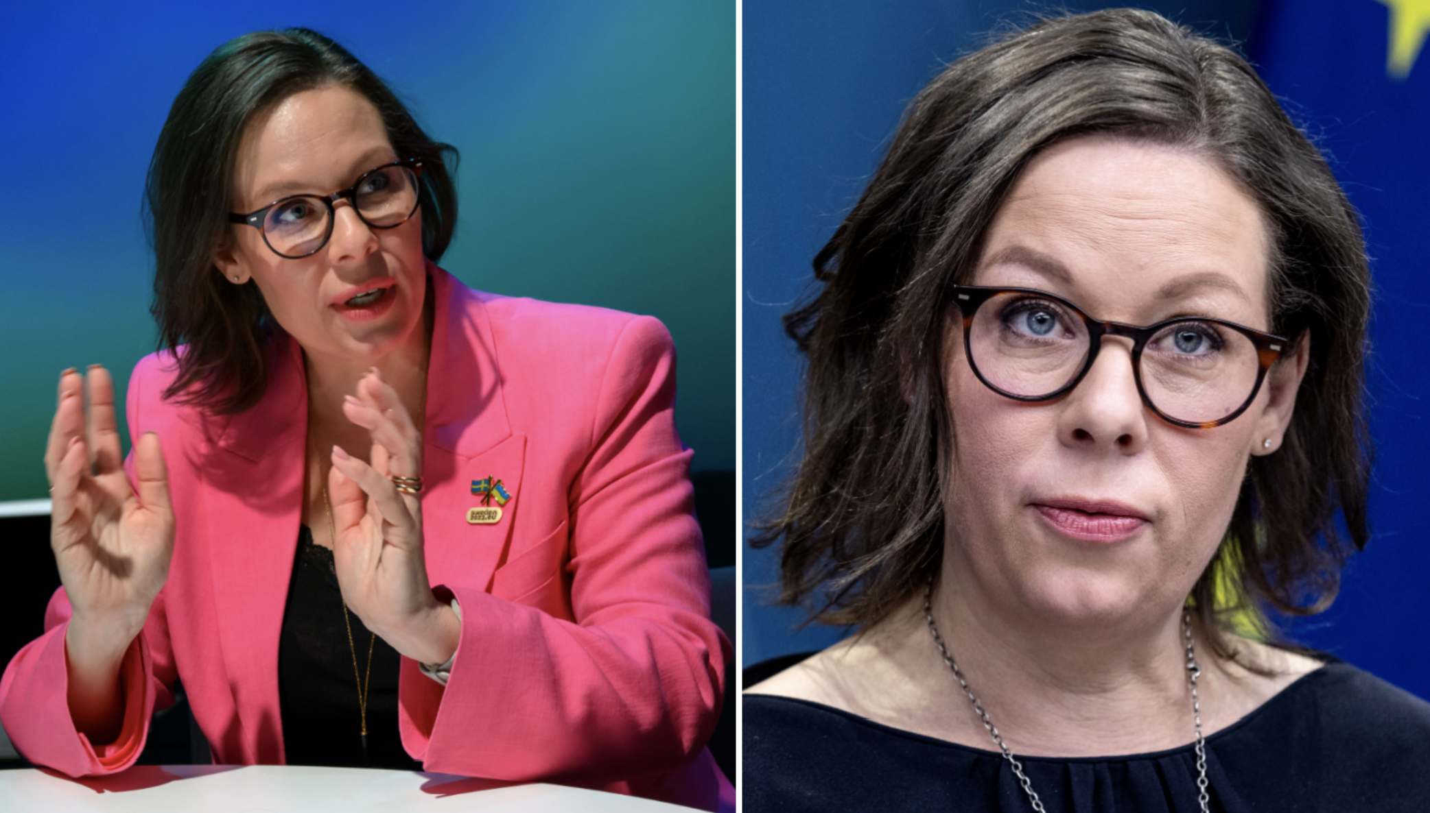 Allt om Maria Malmer Stenergard: Familjen, karriären och utbildningen