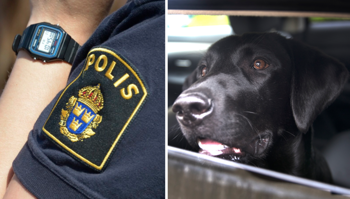Polisen larmar: Räddar hundar ur varma bilar varje dag