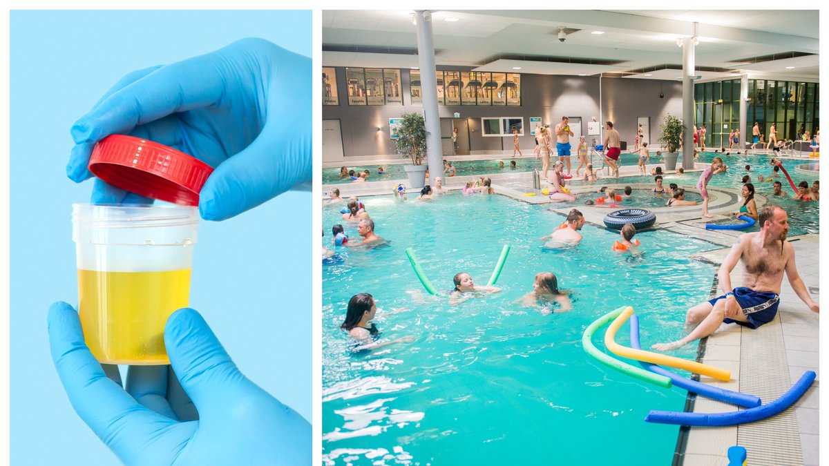 Vidriga sanningen – så mycket kiss är det i en pool: "Usch"