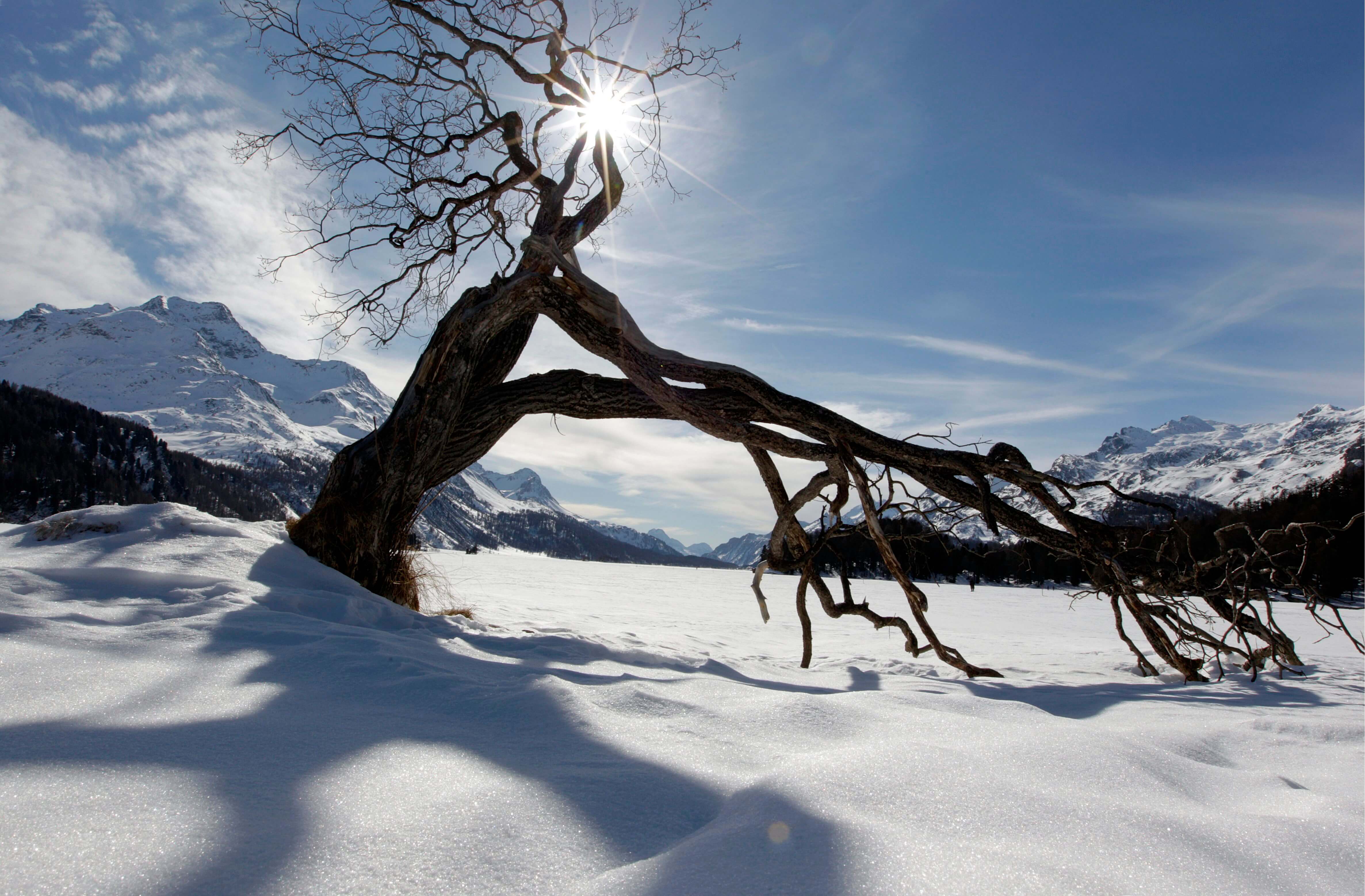 11 bilder som visar varför du borde älska snö och vinter
