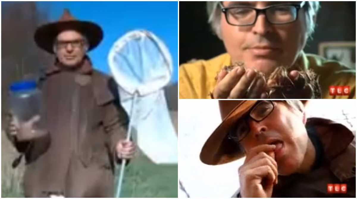 Han har ätit 5 000 insektsarter på elva år