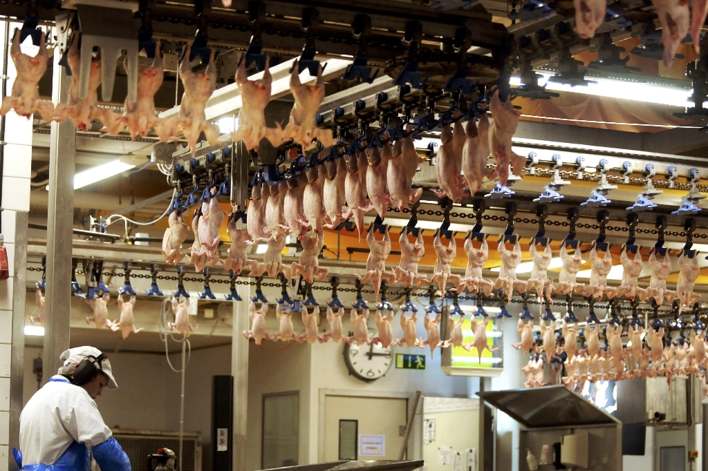 Ännu ett Scan-slakteri kan få böter för smutsen