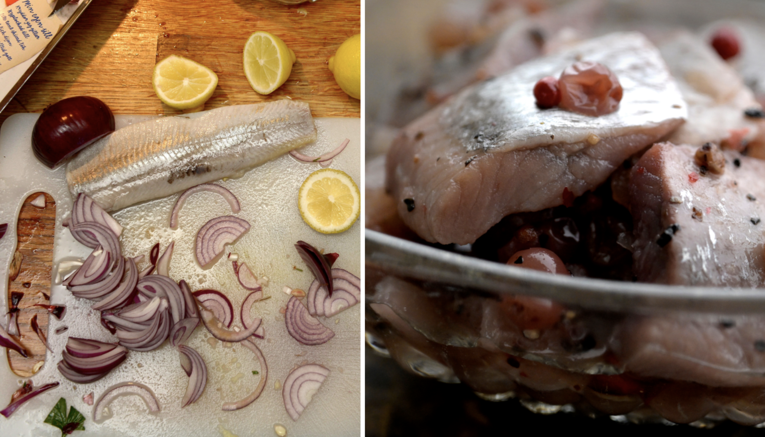 Enkla missen gör sillen till livsfarlig bakteriefälla: "Döda hela ...