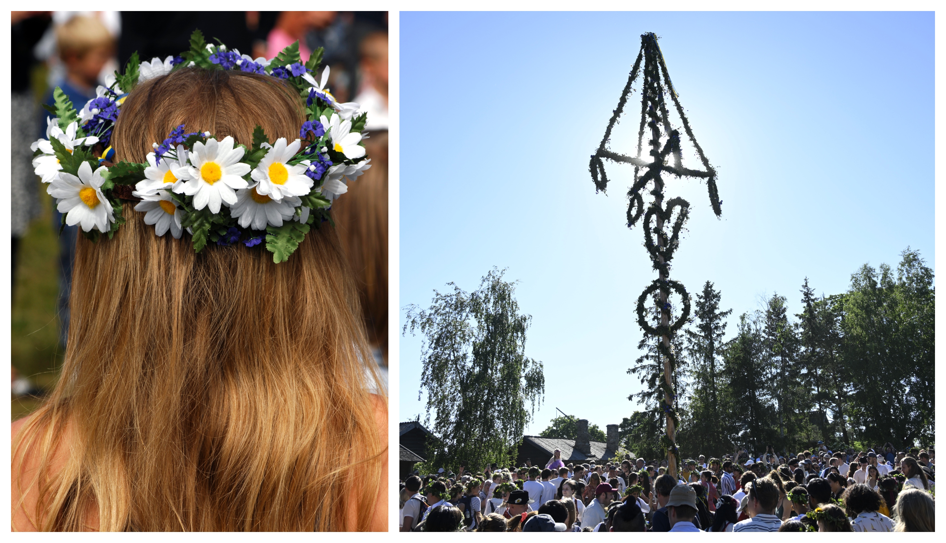 12 snapsvisor till midsommar att skriva ut till ert sånghäfte