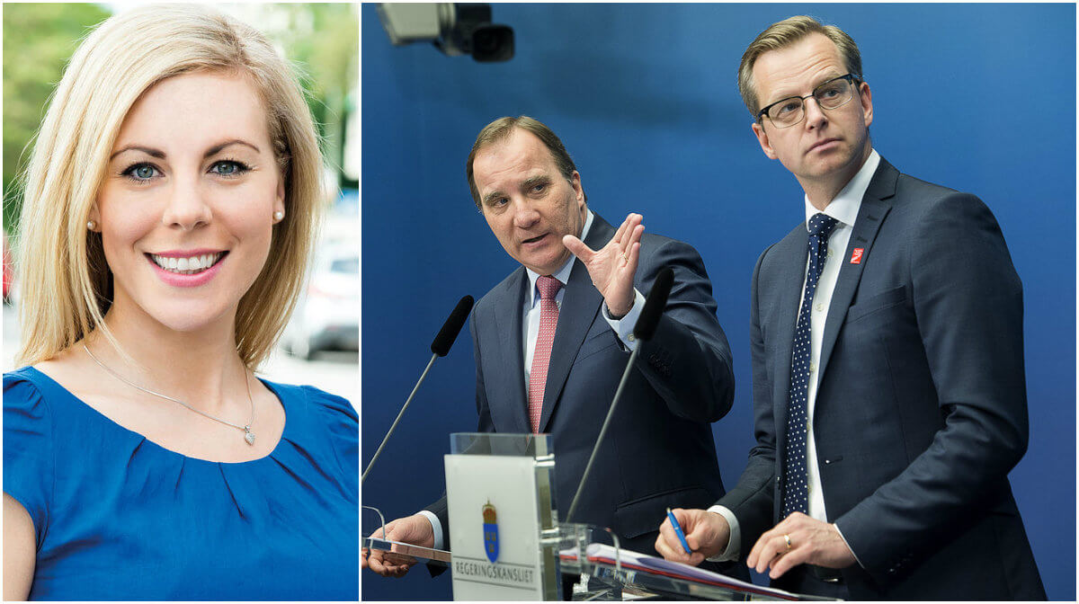 Moderaten om regeringens förslag: "Jag vill inte ha en lag för kvinnor ...