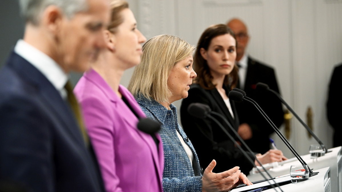 Statsministrar manar på EU om elpriser