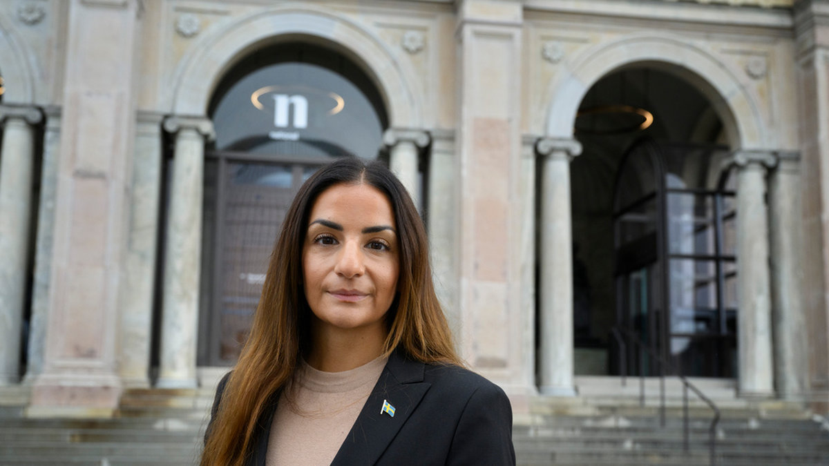 Ministern om Rembrandtbråket: Inte upp till mig